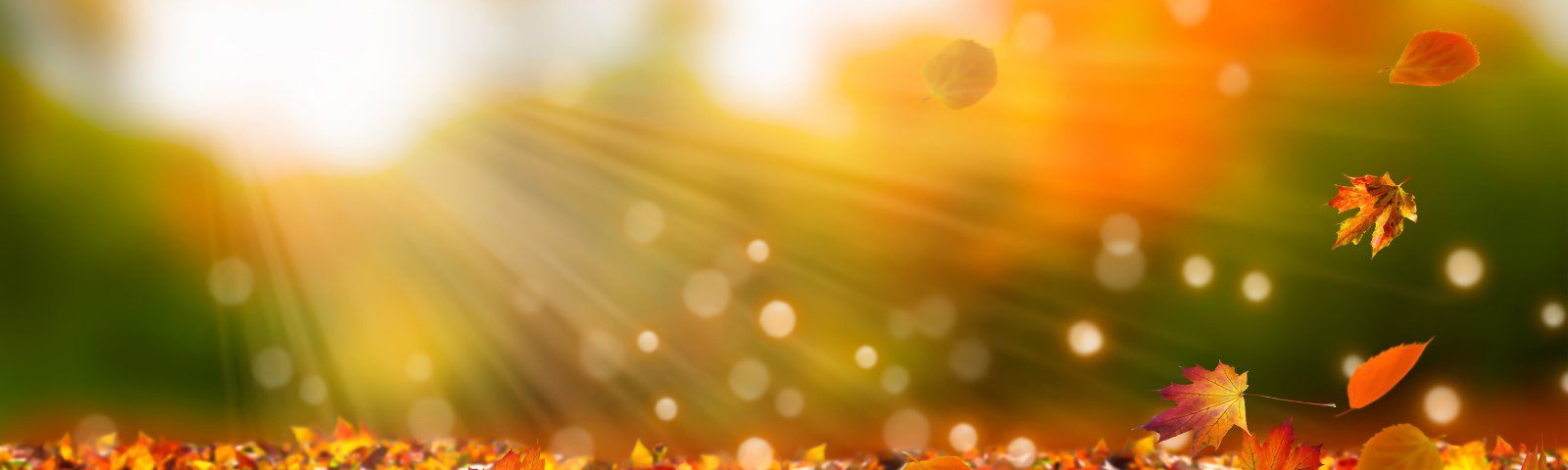 Website header-2 – Park County Events & Fair